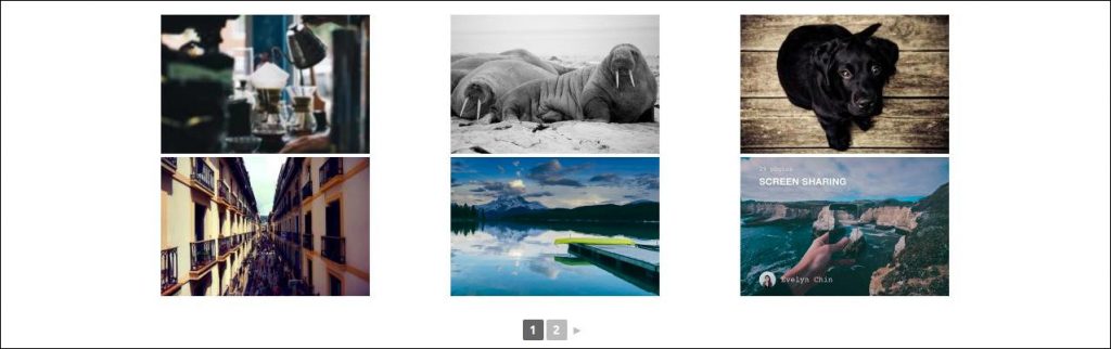 How to create a gallery with paginaion in wordpress | HostOnNet.com